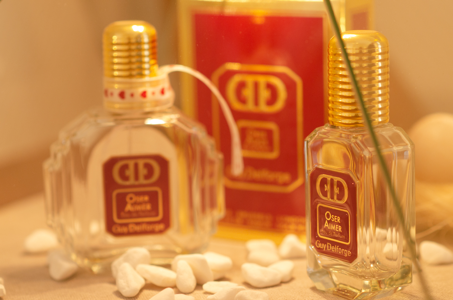 La visite de la parfumerie Guy Delforge à Namur - ZannA House